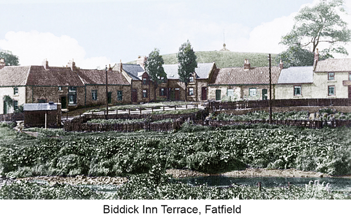 Den Cutts - www.dencutts.co.uk